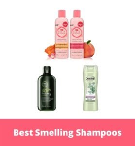 Top 10 Best Smelling Shampoos – 2026 | The Apex Beauty